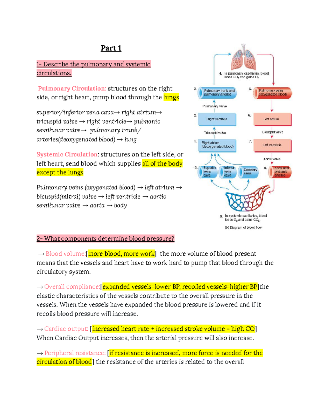 Cardio Pathophysiology - Part 1 1- Describe the pulmonary and systemic ...