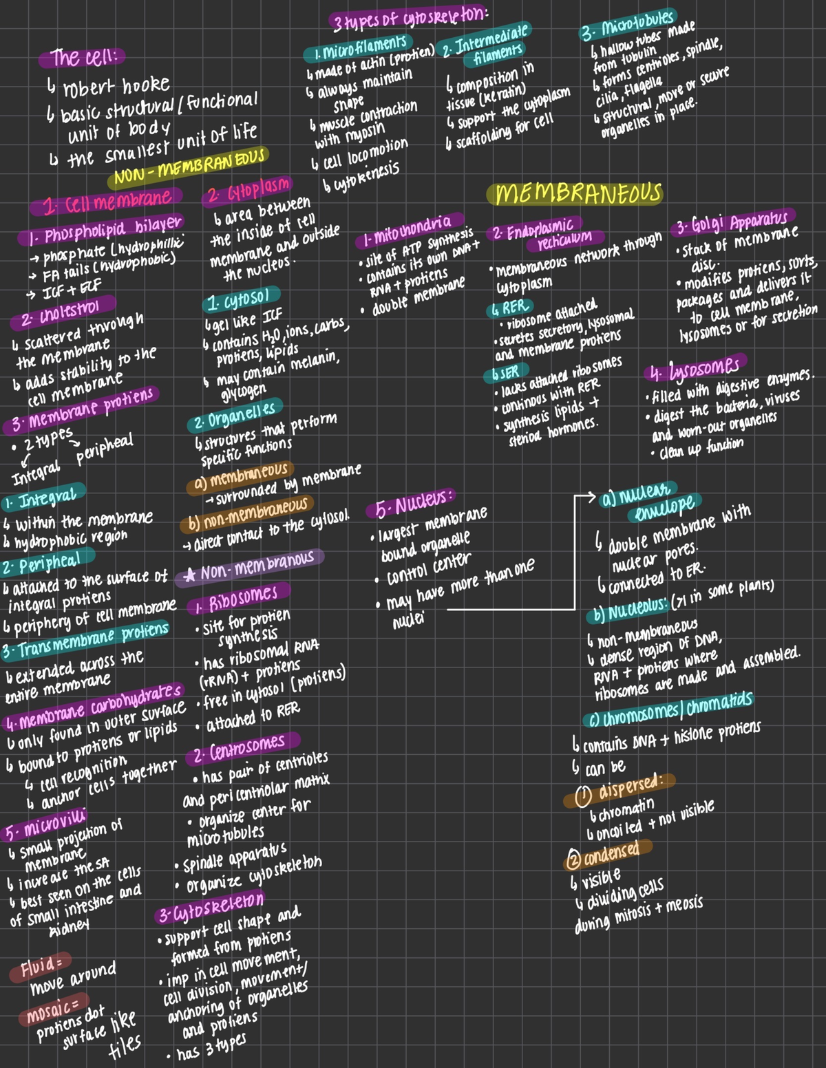 Chapter 3 Practice-1 - Rough note S - The cell: types of cytosreleton: 4 made 1. Microfilaments ...