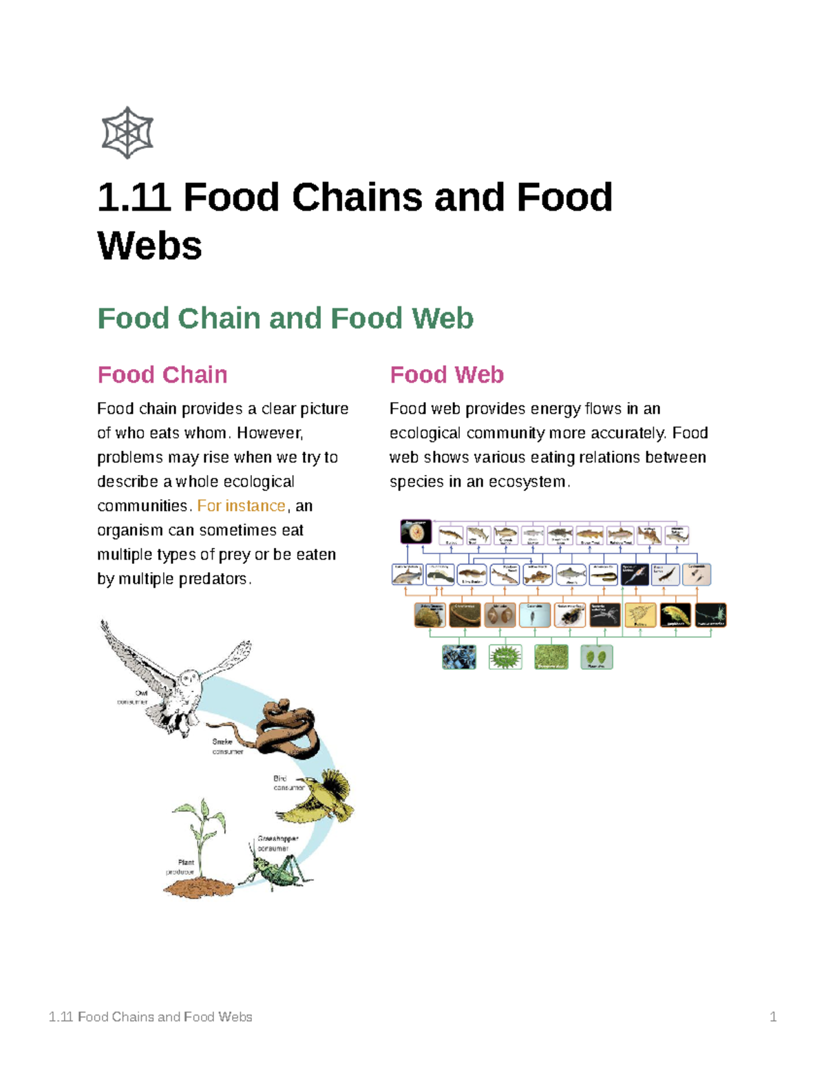 Food chains and food webs - 1 Food Chains and Food Webs 1 Q 1 Food ...