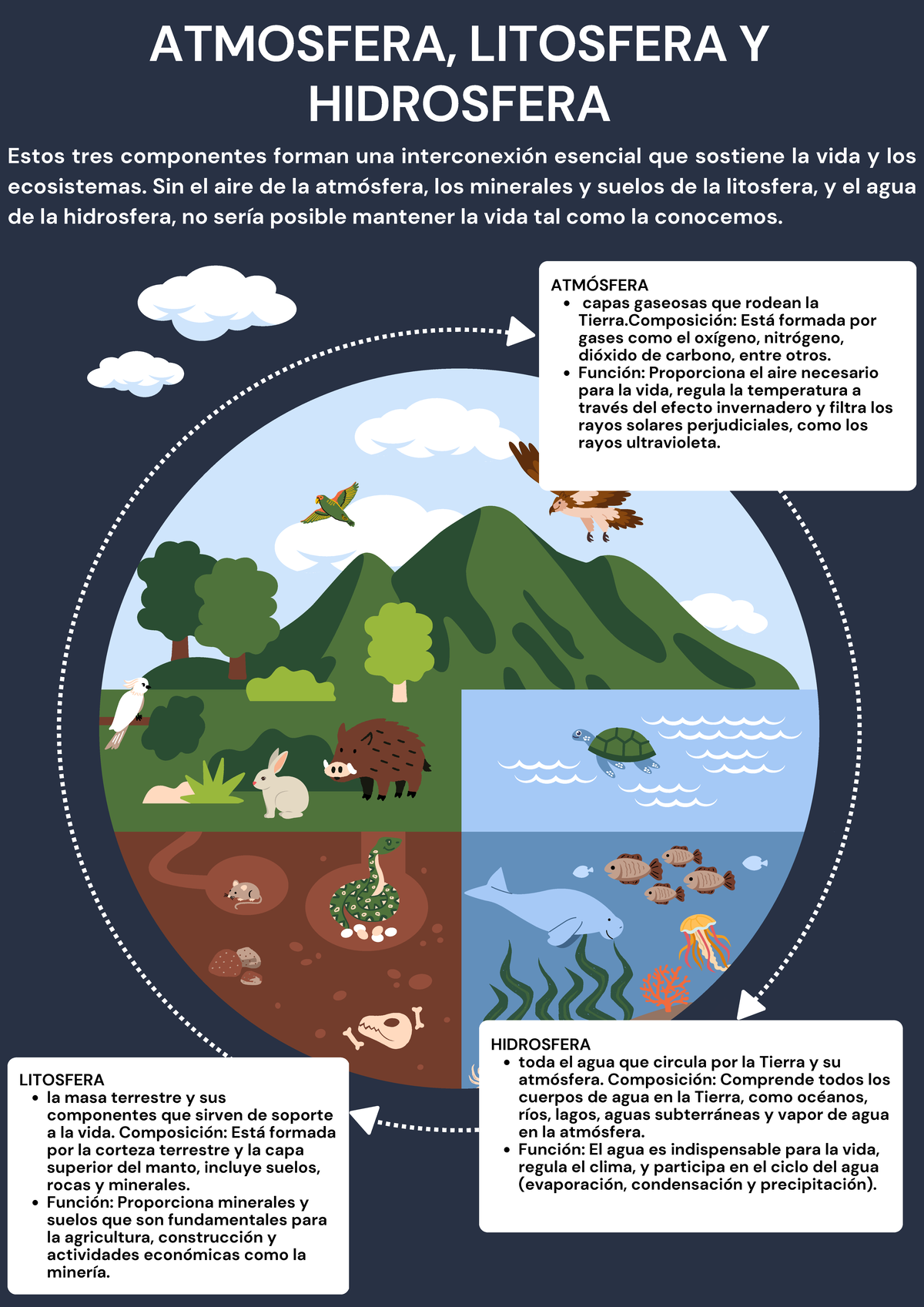 Cartel Científico La Biosfera Interacción con los Subsistemas de la ...