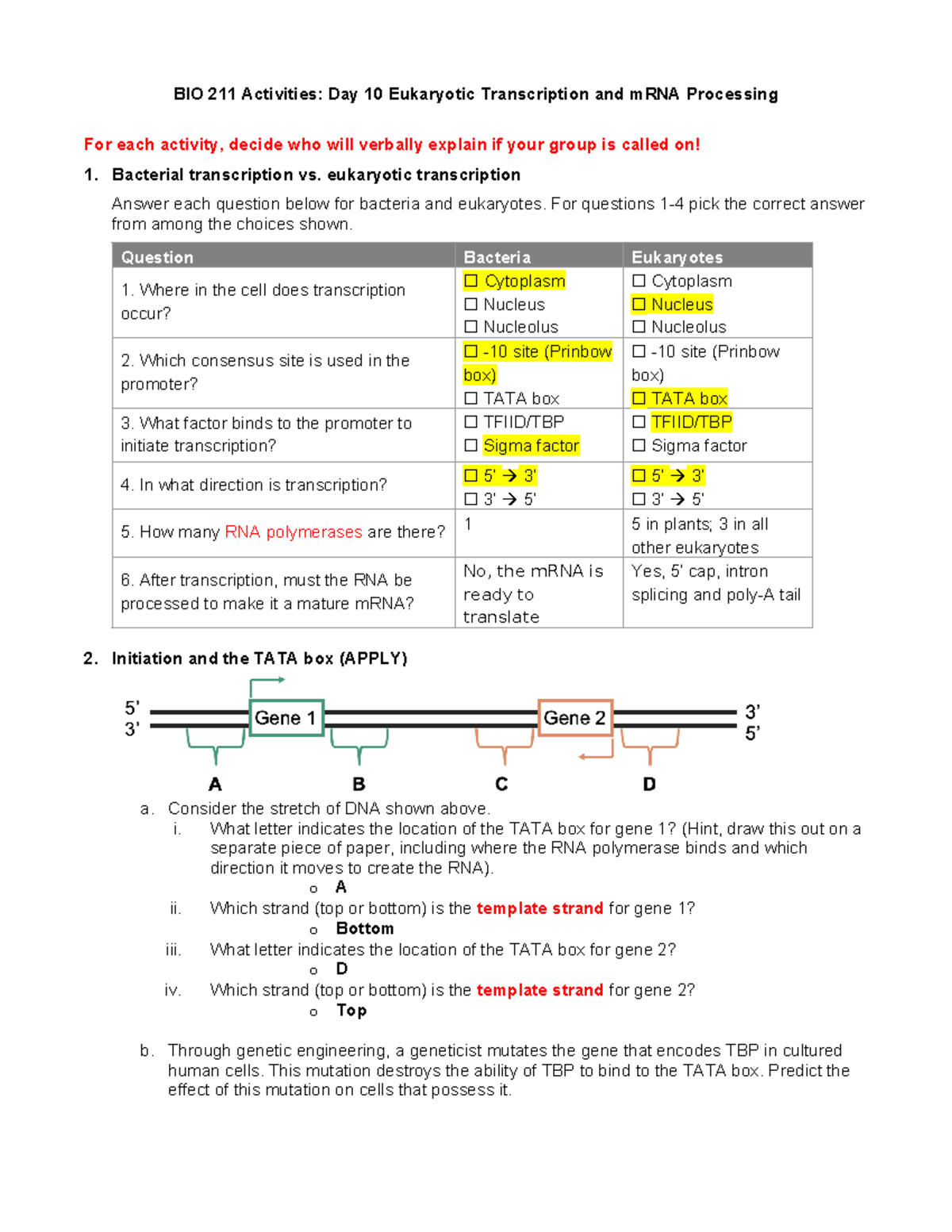 10-Eukaryotic Transcription-post - BIO 211 Activities: Day 10 ...