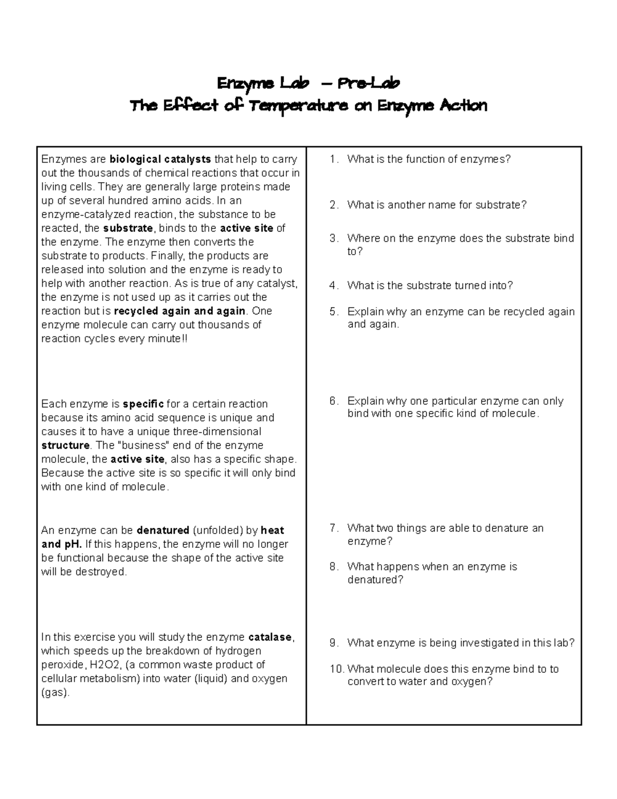 Kami Export - Amare Devezin - Bio - Enzyme Pre-Lab - Enzyme Lab - Pre ...