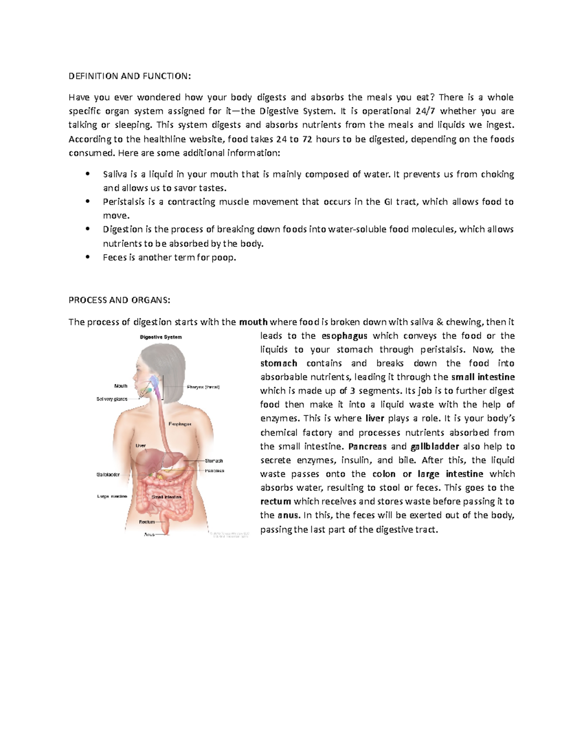 digestive system report - DEFINITION AND FUNCTION: Have you ever ...