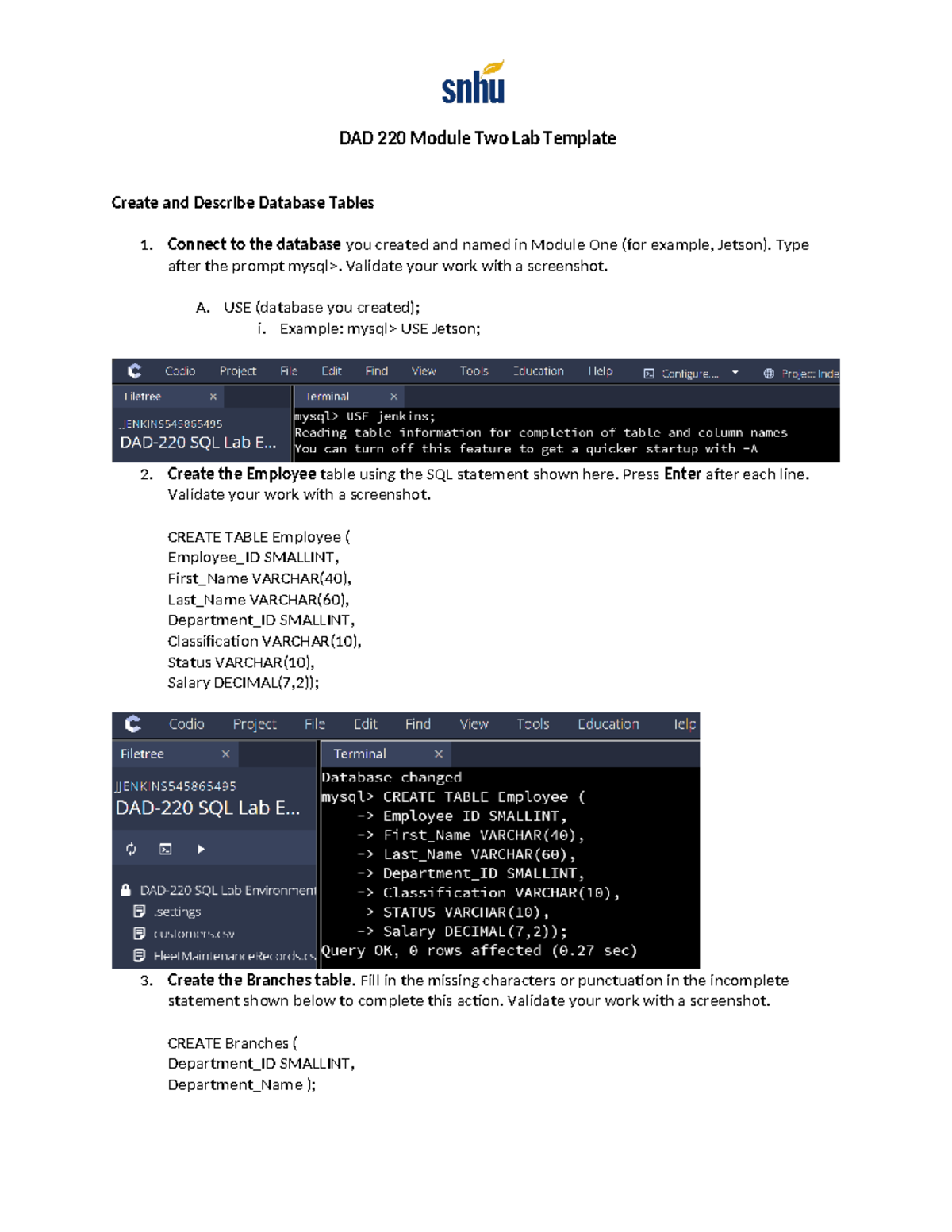 Jenkins DAD 220 Module Two Lab - DAD 220 Module Two Lab Template Create and Describe Database ...