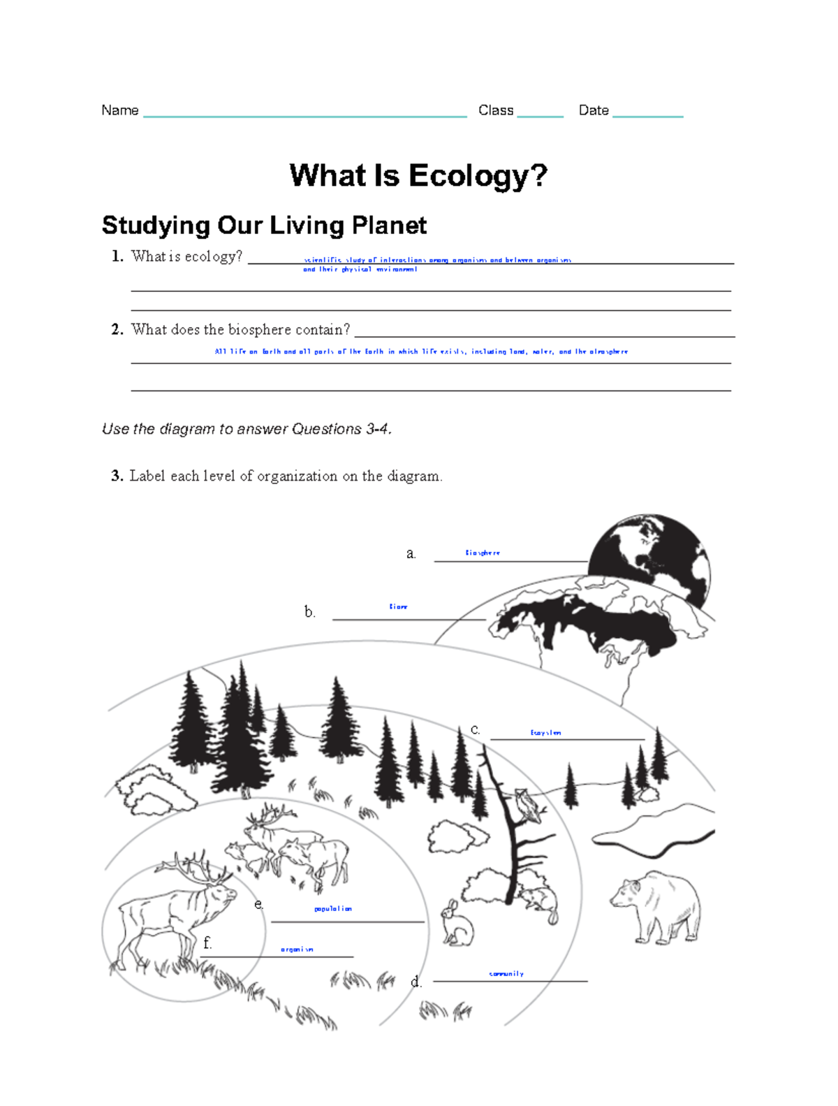 What is Ecology Worksheet copy - Name Class Date What Is Ecology ...