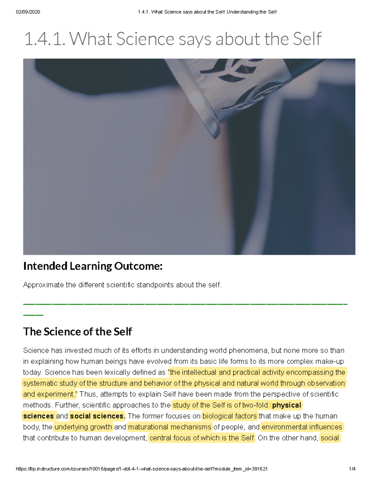 1.4.1. What Science says about the Self Understanding the Self - TIP ...