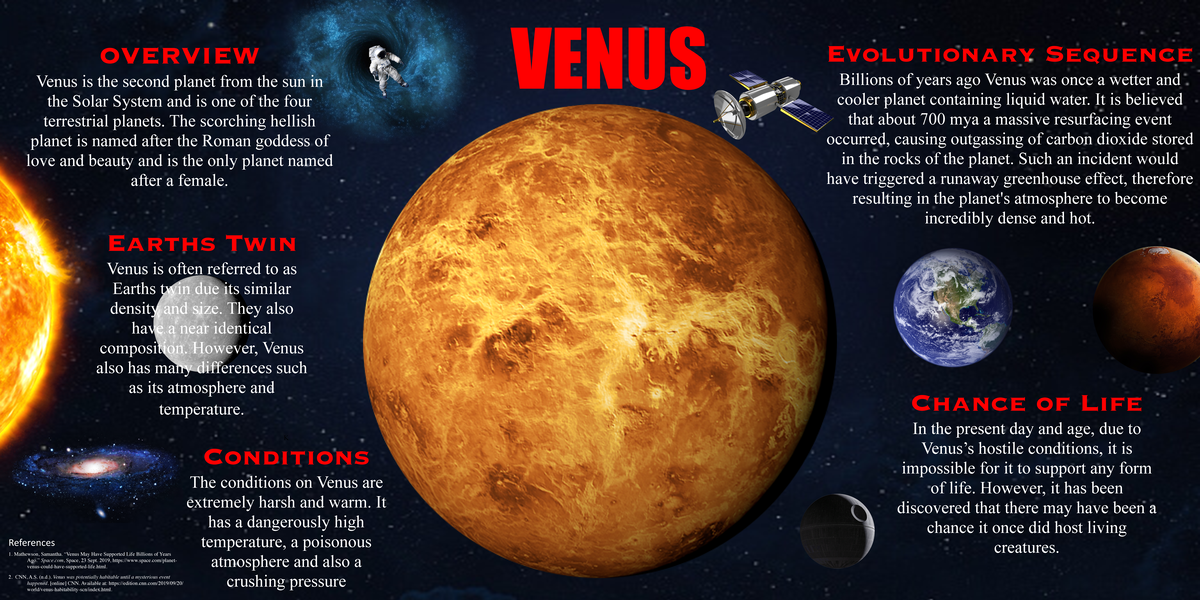 Venus Poster - Island Megafauna New Zealand (colonized ~800-1100 A.D ...