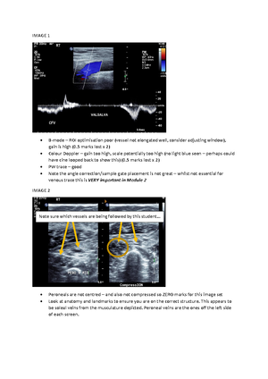 Sonographic terminology - echogram / sonogram Term used for an ...