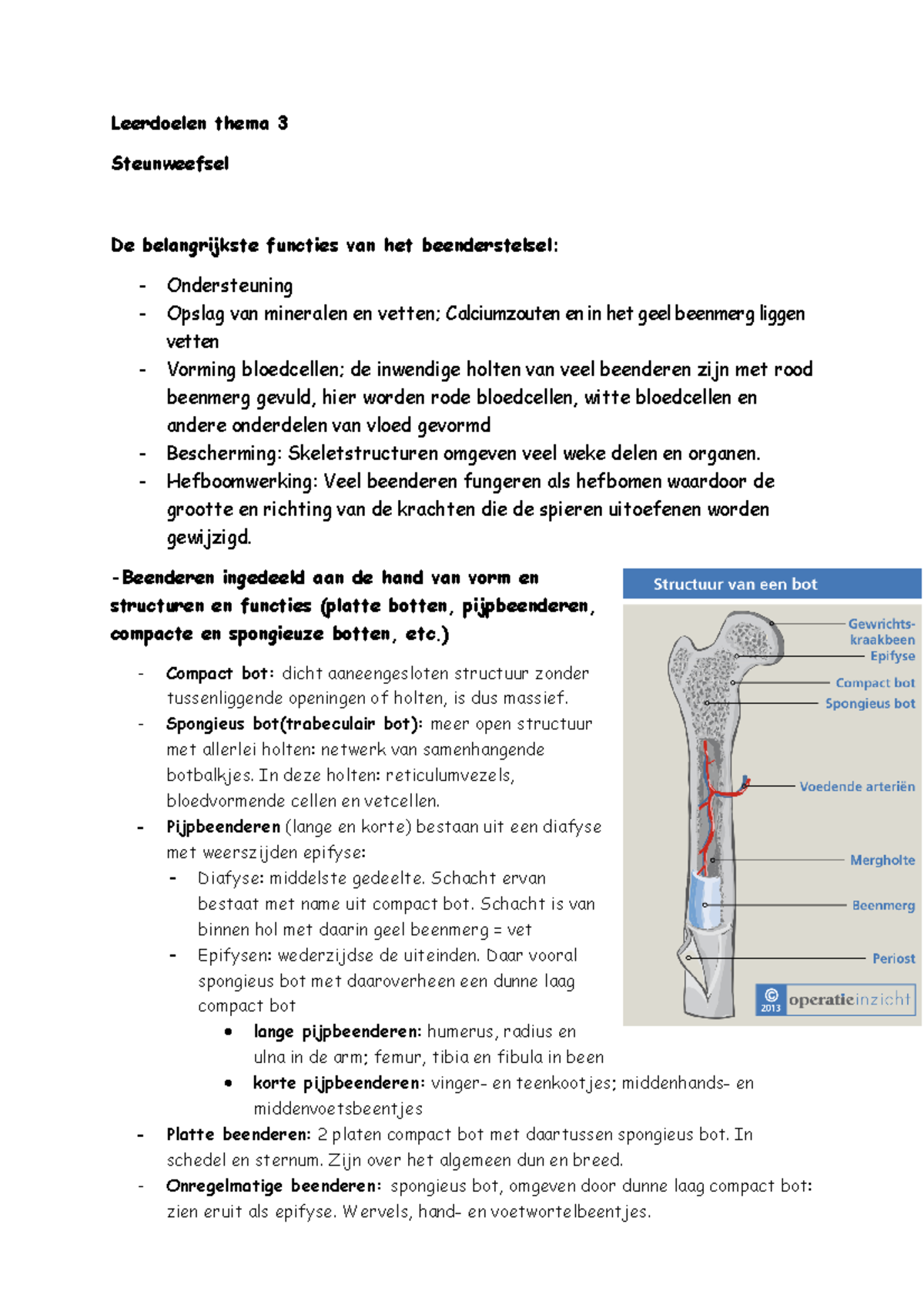 Leerdoelen thema 3 steunweefsel - Leerdoelen thema 3 Steunweefsel De ...