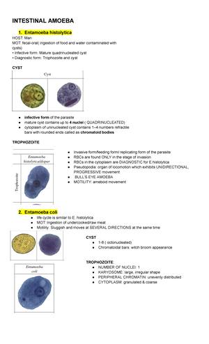 4. Amoeba Charts - Summary Parasitology - E. histolytica E. dispar E. moshkovskii E. coli E ...