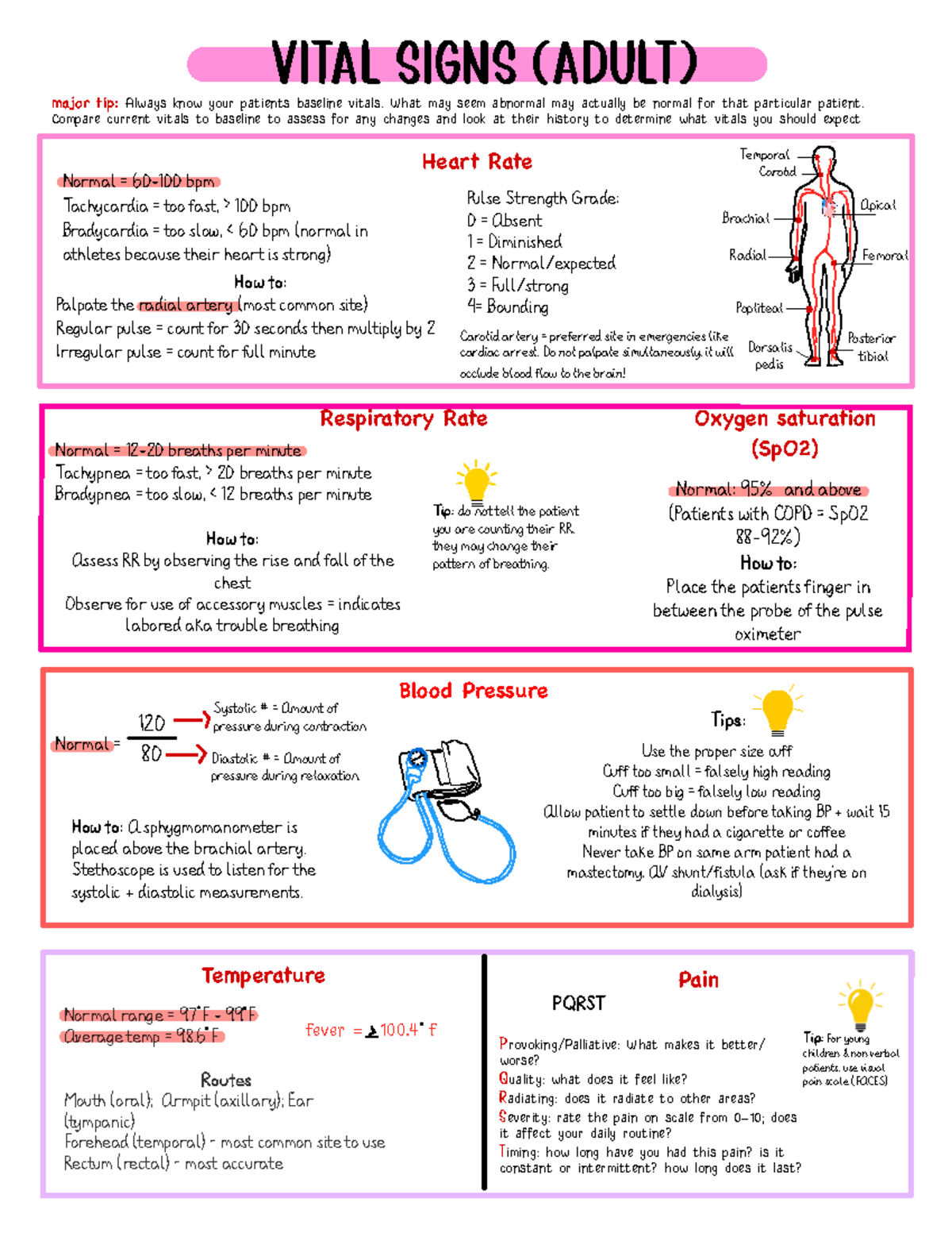 Head To Toe And Assessments - ####### Vital signs (adult) Heart Rate ...
