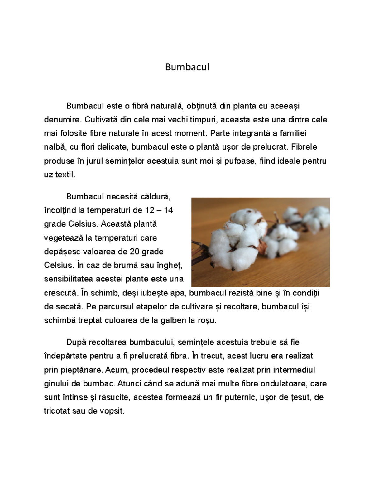 Bumbacul - fise de documentare - Bumbacul Bumbacul este o fibră ...