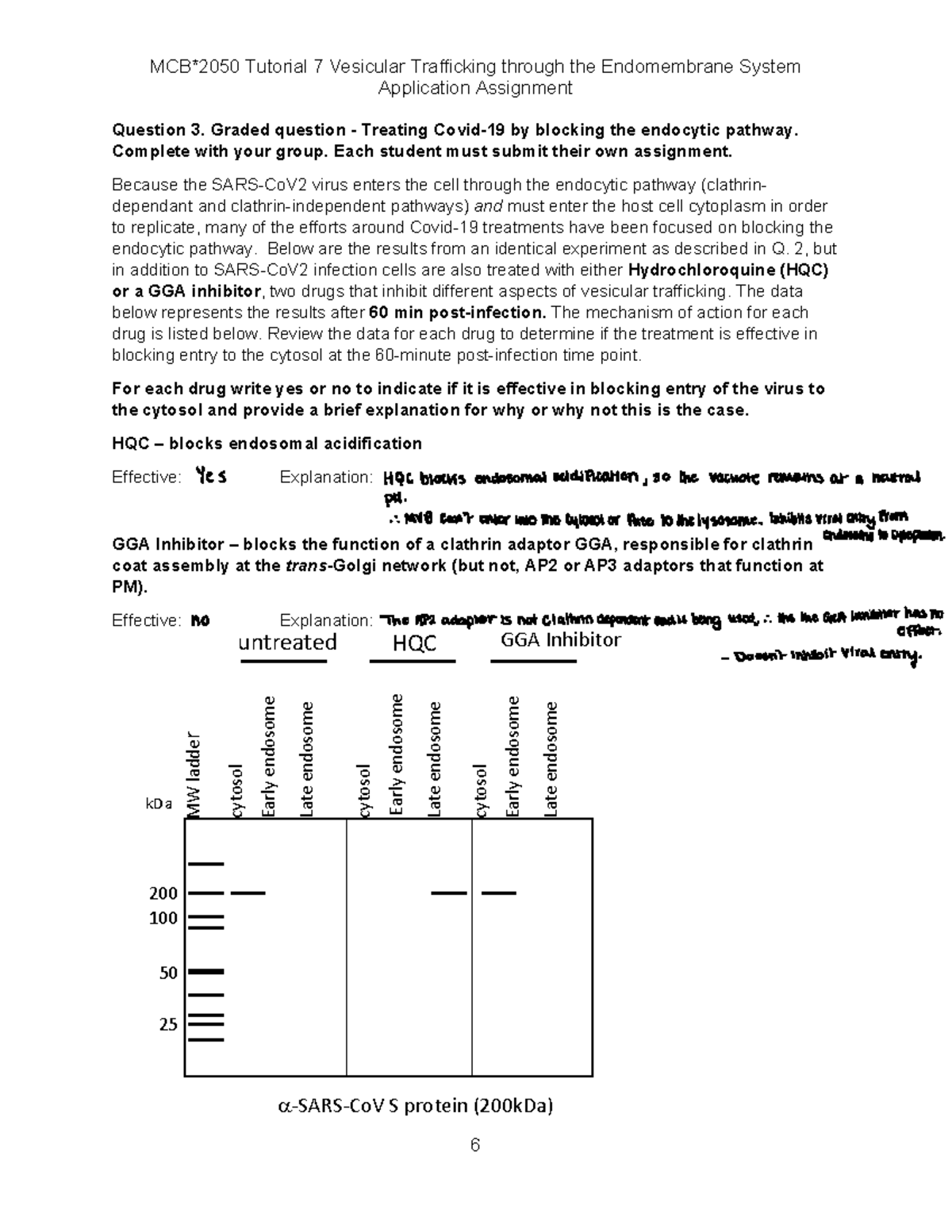 F23 Vesicular Trafficking Seminar 7 PDF - MCB*2050 Tutorial 7 Vesicular ...
