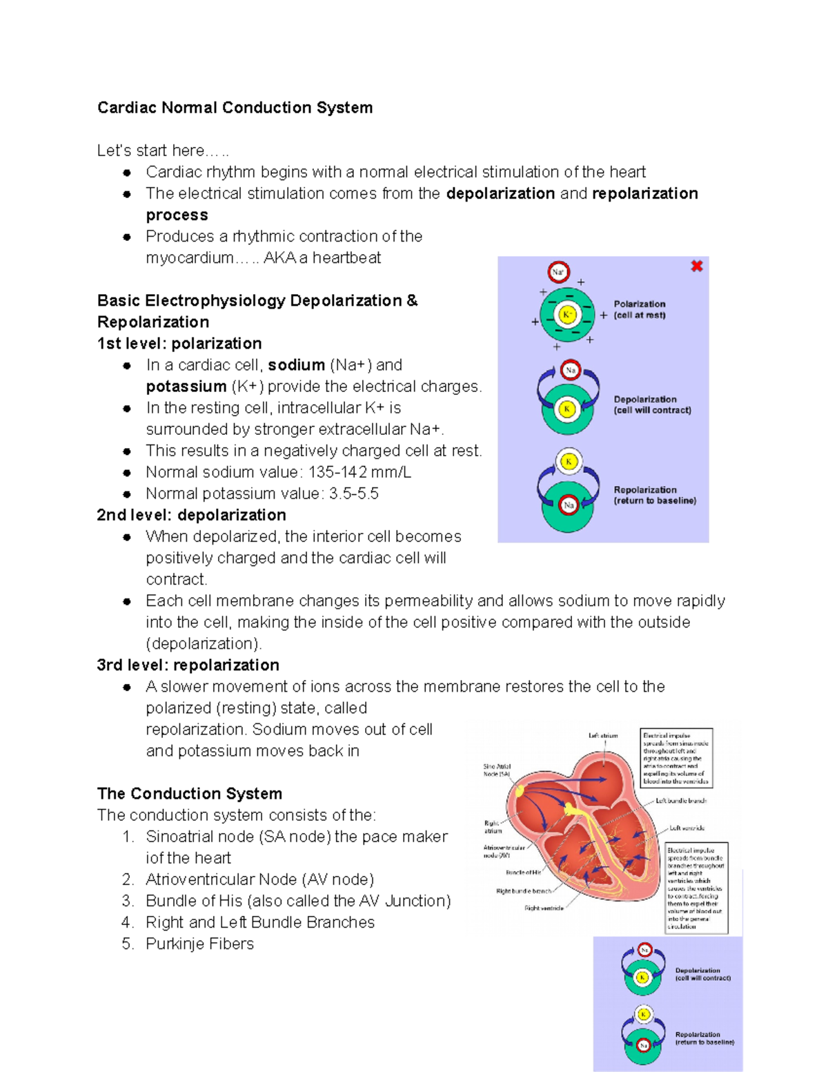 Week 3 ppt and lecture notes - Cardiac Normal Conduction System Let’s ...