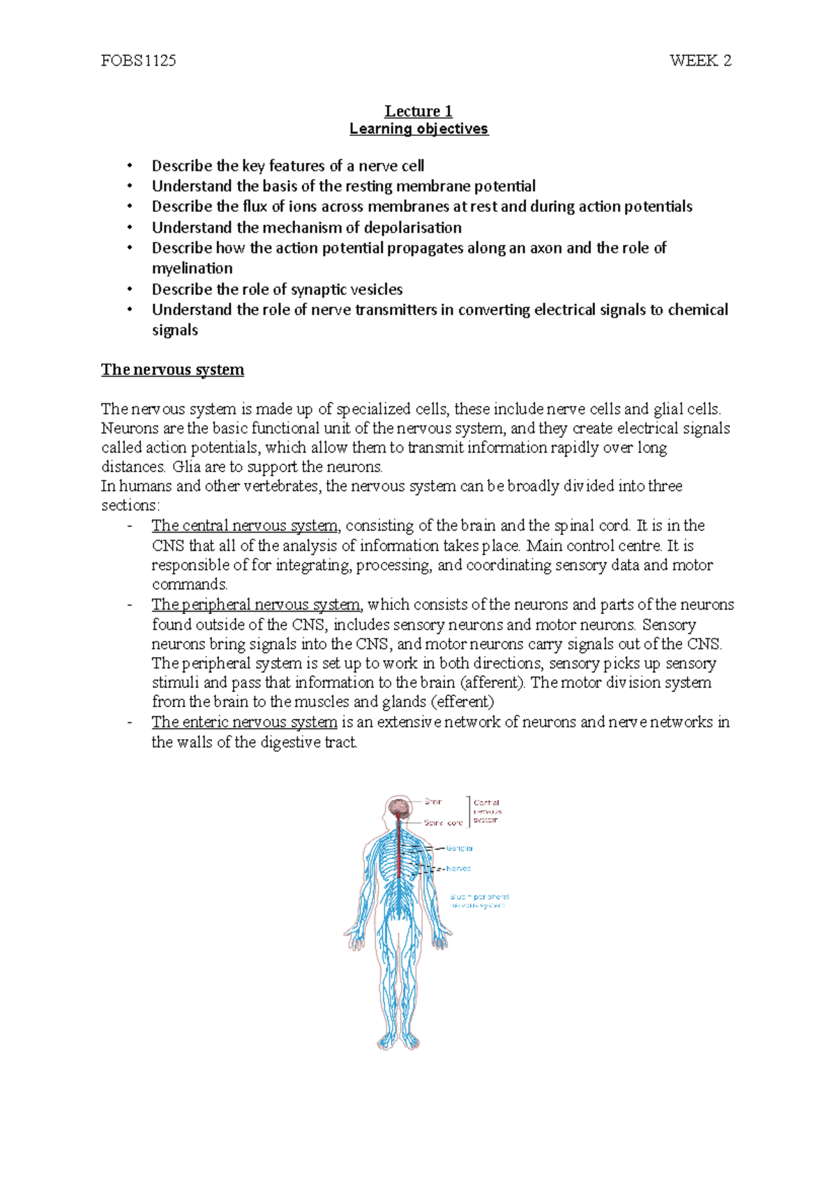 WEEK 2 The nervous system - FOBS1125 WEEK 2 Lecture 1 Learning ...