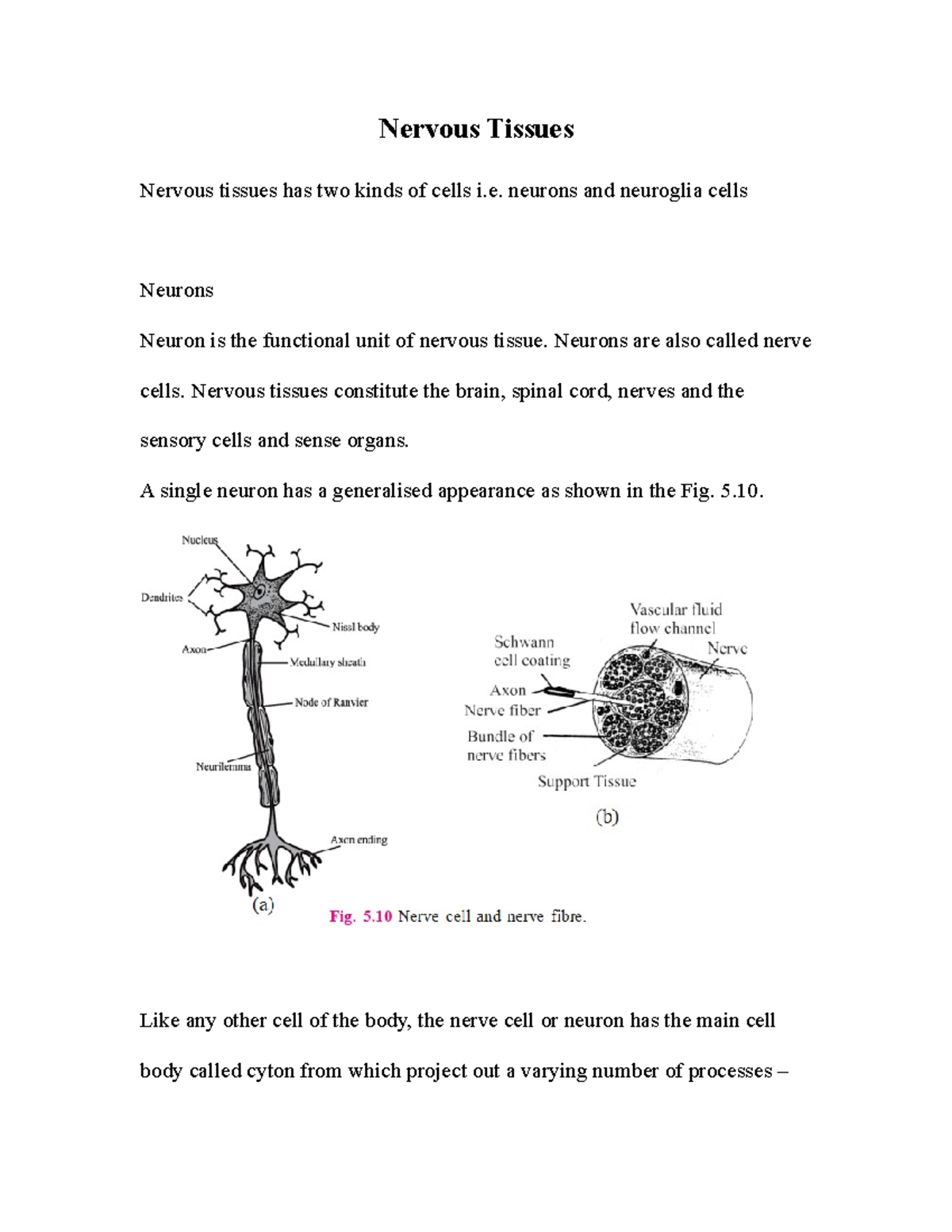 Nervous Tissues (NOTES) - Nervous Tissues Nervous tissues has two kinds ...