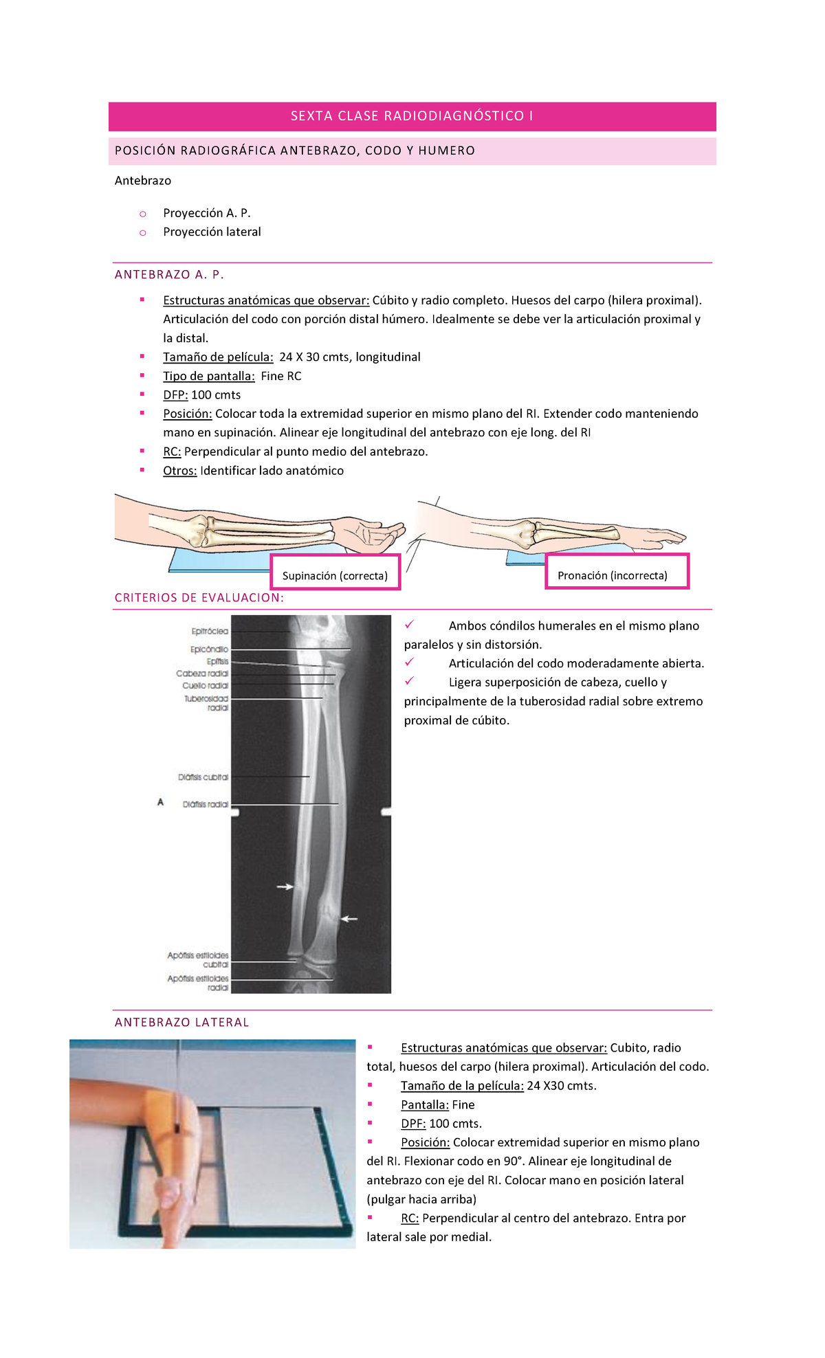 Sexta clase Radiodiagnóstico I posicionamiento radiografico - SE XT A ...