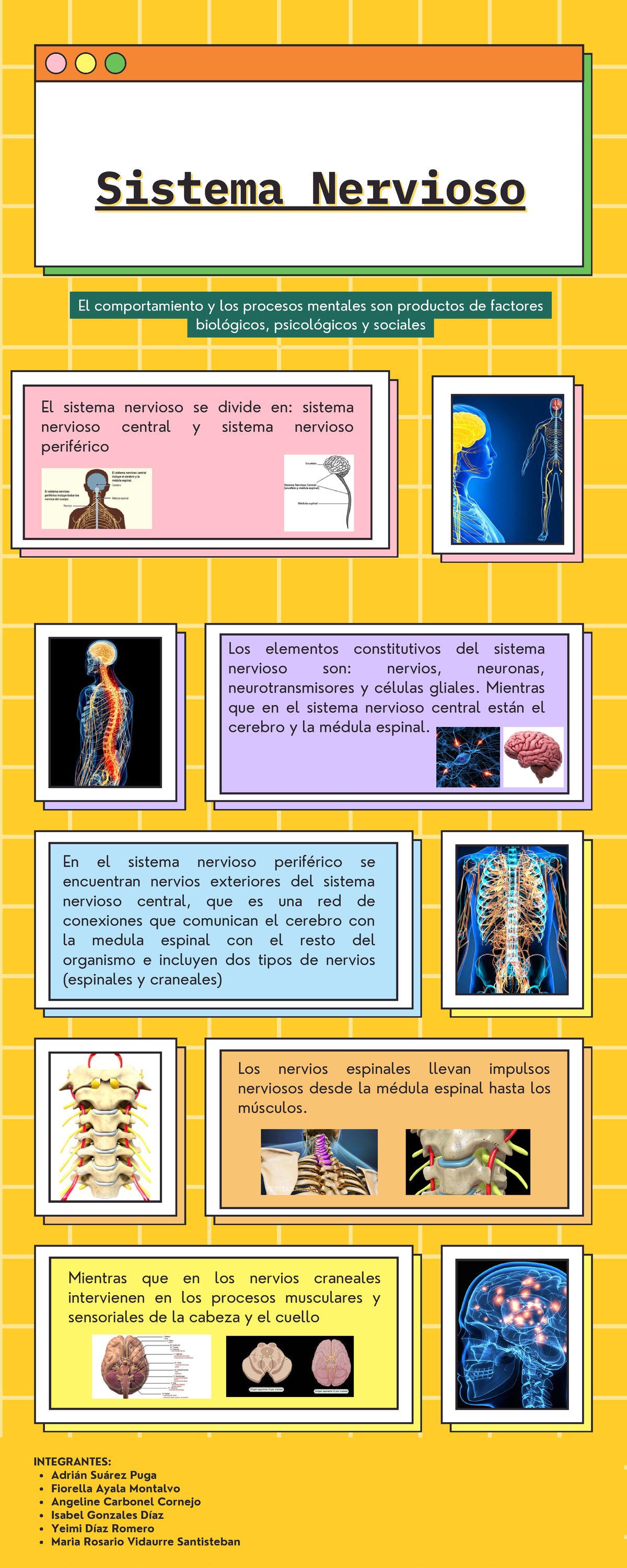 Sistema Nervioso S 2 - hola nse uq eponer aca epro bbeno no se jaja que ...