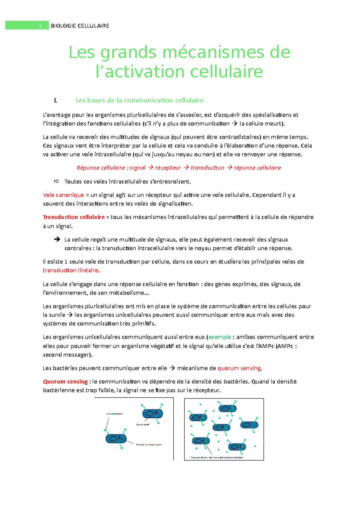 Signalisation cellulaire - Les grands mécanismes de l’activation ...