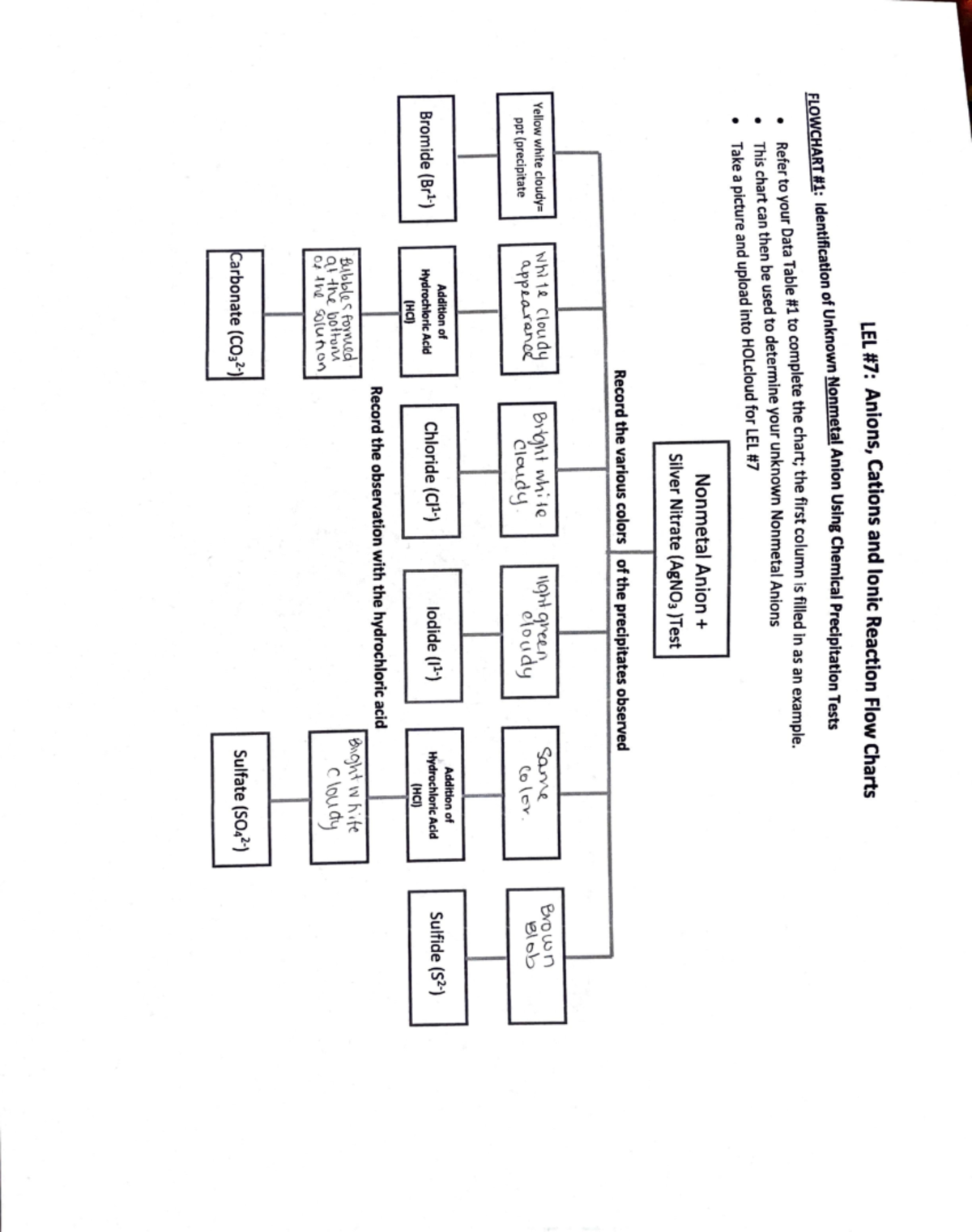 Reaction Flow chart - LEL #7: Anions, Cations and Ionic Reaction Flow ...