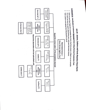 Phase Diagram worksheet KEY - CHM 1025 - Studocu