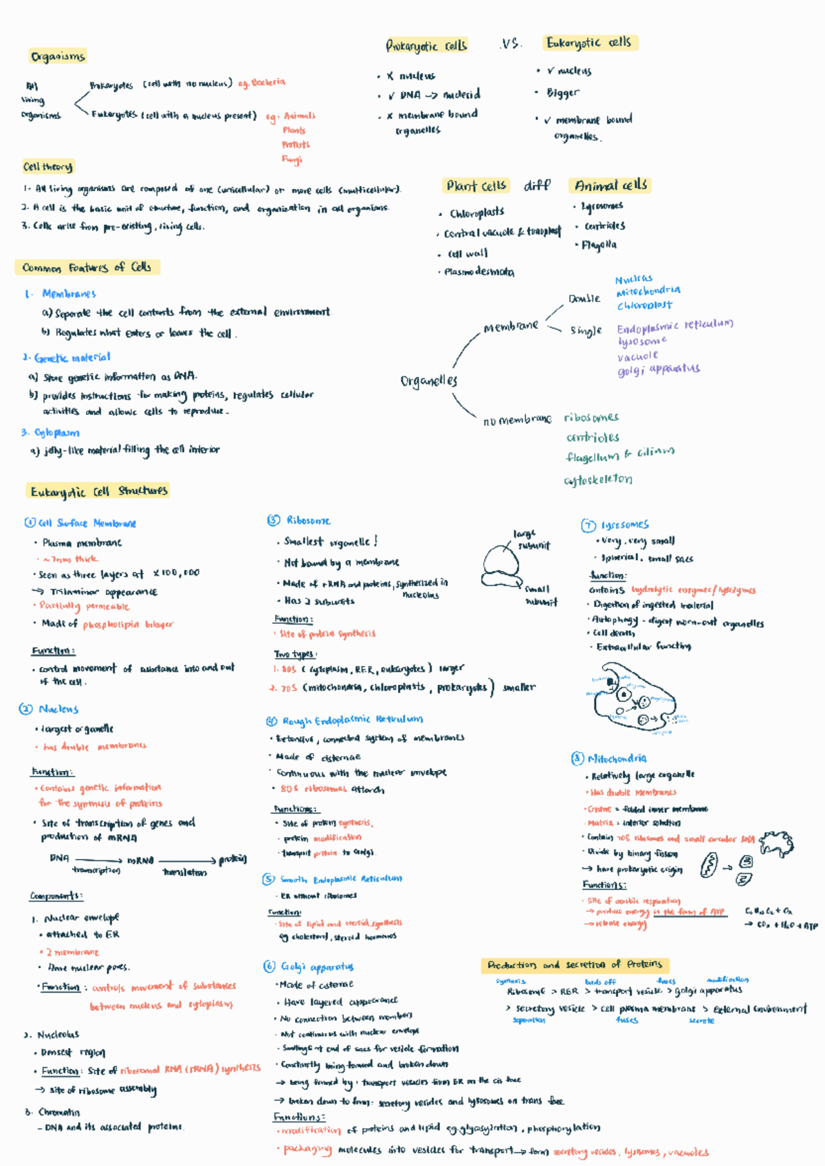 Bio Rev C1-3 - Taylor's Foundation in science - cell biology ...