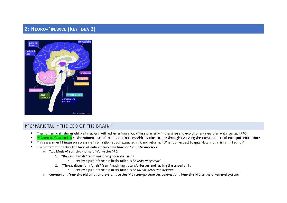 Neurofinance Summary - 2: NEURO-FINANCE (KEY IDEA 2) PFC/PARIETAL ...