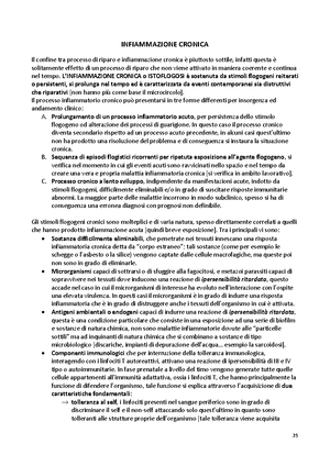 Heart anatomy Structure, valves, coronary vessels Kenhub - Heart Author ...