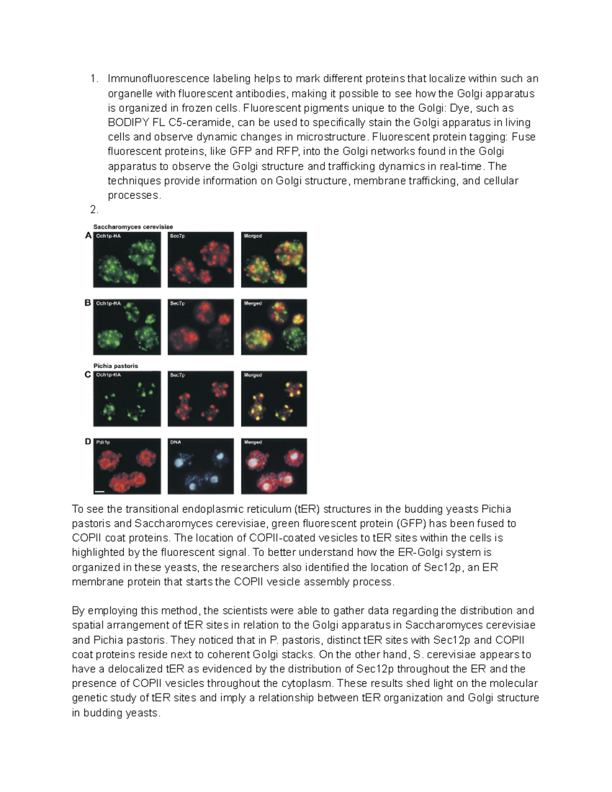 Bio 2B03 Assignment 2 - Tutorial 2 asignment - Immunofluorescence ...