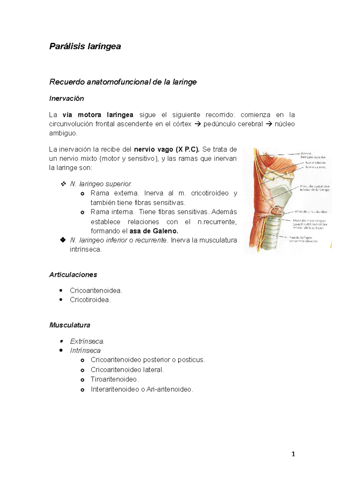 Laringitis disneizantes - Parálisis laríngea Recuerdo anatomofuncional ...