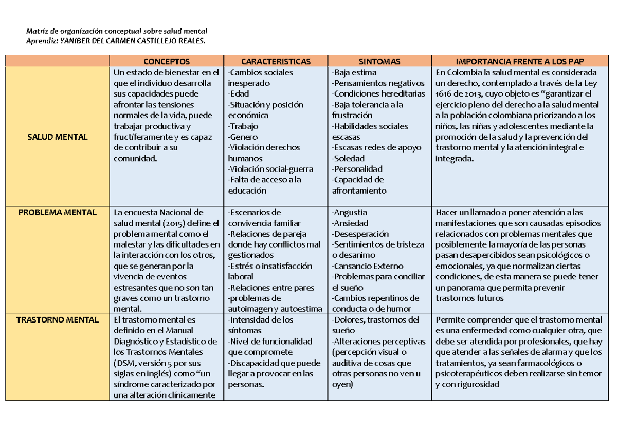 Matriz de organización conceptual sobre salud mental - Matriz de ...
