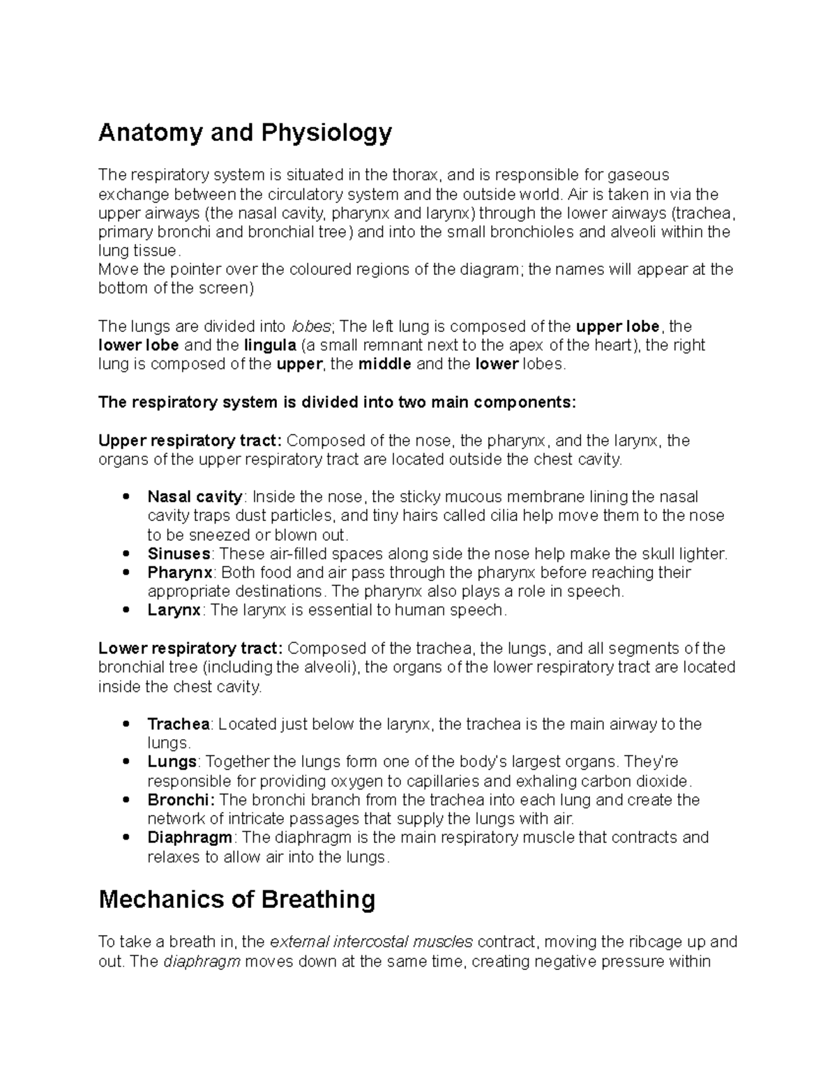 238920998 Anatomy and Physiology Respi - Anatomy and Physiology The ...