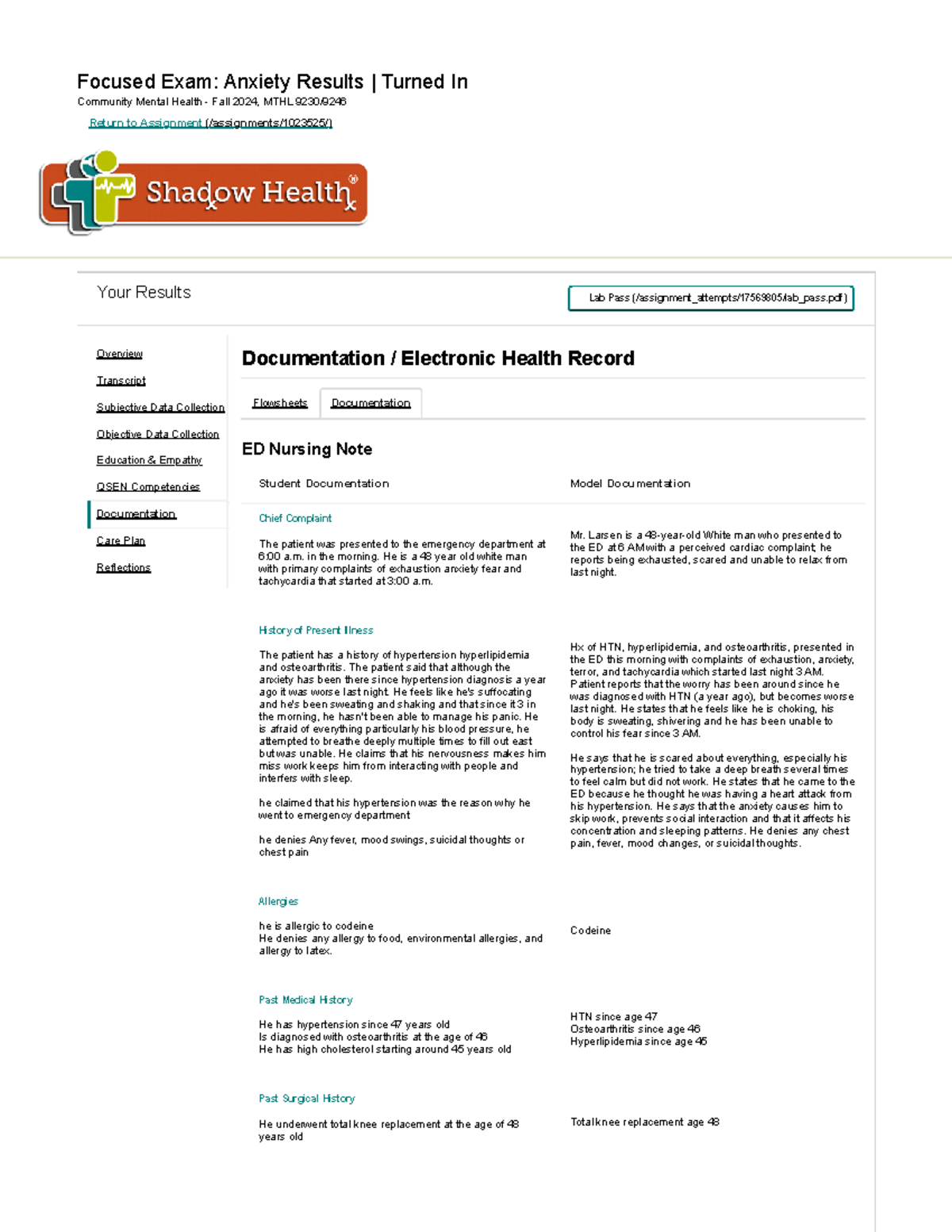 Anxiety John Larsen Shadow Health Documentation - Focused Exam: Anxiety ...