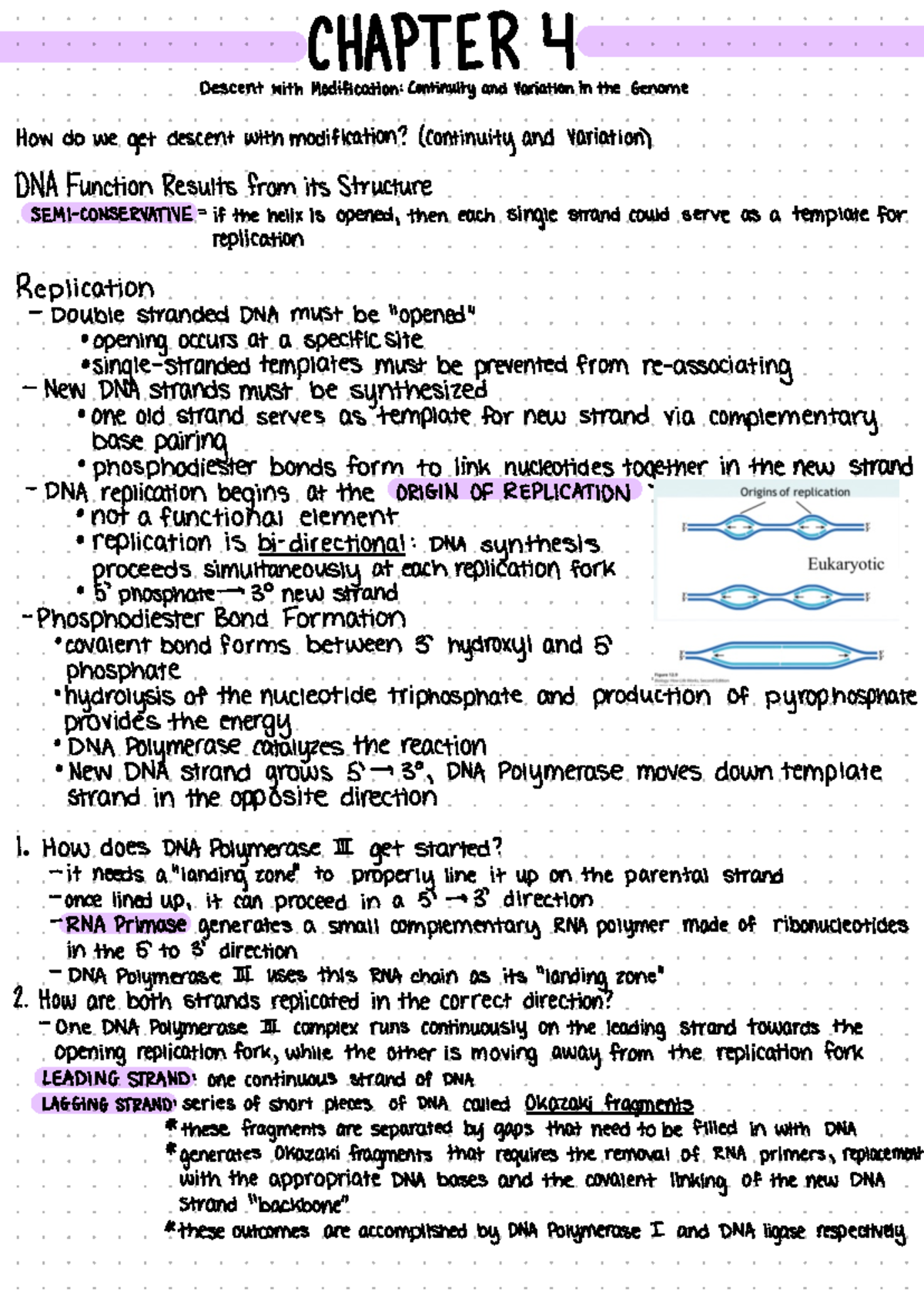 BIO 240 CHAP 4 - Dr. Bloss genetics lecture notes (chapter 4) - CHAPTER ...