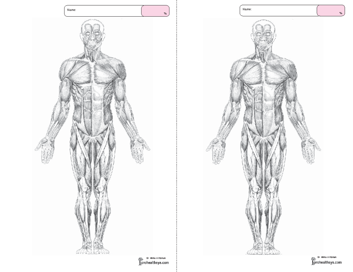 Quiz blank anatomy pictures - % Name: Dr. Nikita A Vizniak Dr. Nikita A ...