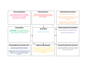 Pocket Guide to 2015 Beers Criteria - From THE AMERICAN GERIATRICS ...