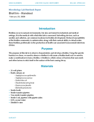 Complete Gram Stain Lab - Microbiology Lab Notebook Report Gram Stain ...
