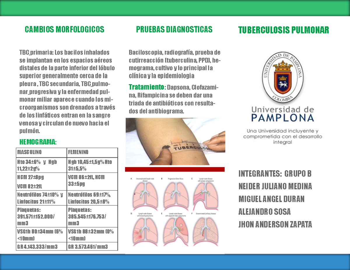 Folleto Tuberculosis - CAMBIOS MORFOLOGICOS TBC primaria: Los bacilos ...