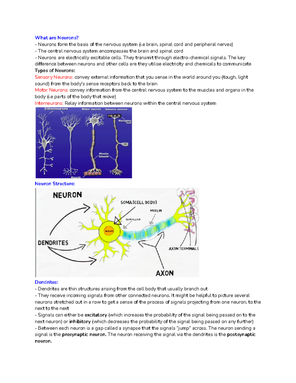 Week 12 Neural Coding - Week 12 tutorial notes - What are Neurons ...