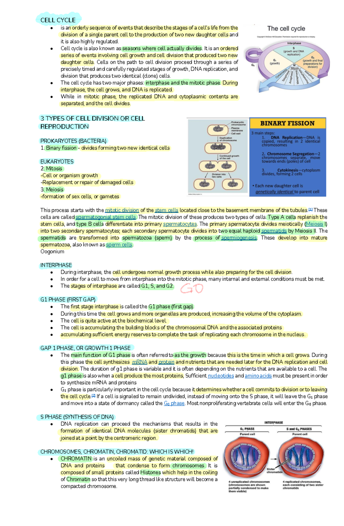 CELL Cycle - None - CELL CYCLE is an orderly sequence of events that ...