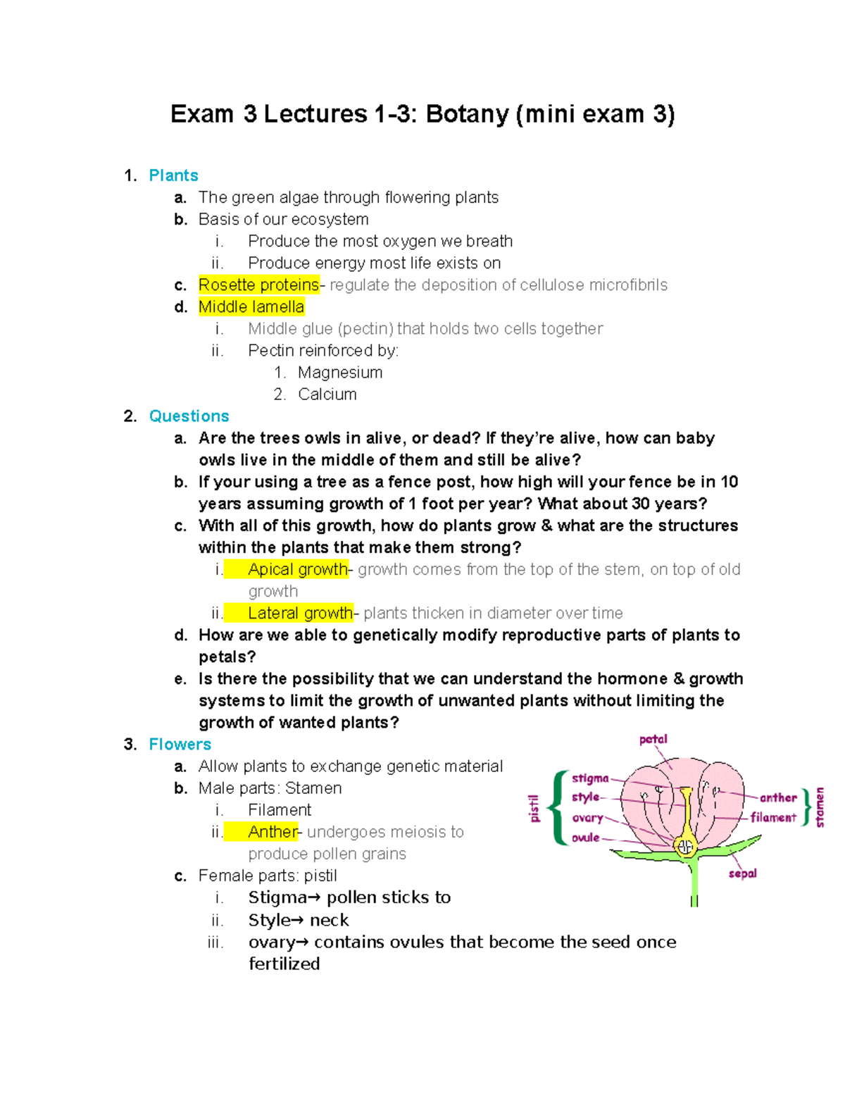 BIO 116 notes-12 - chapter notes - Exam 3 Lectures 1-3: Botany (mini ...