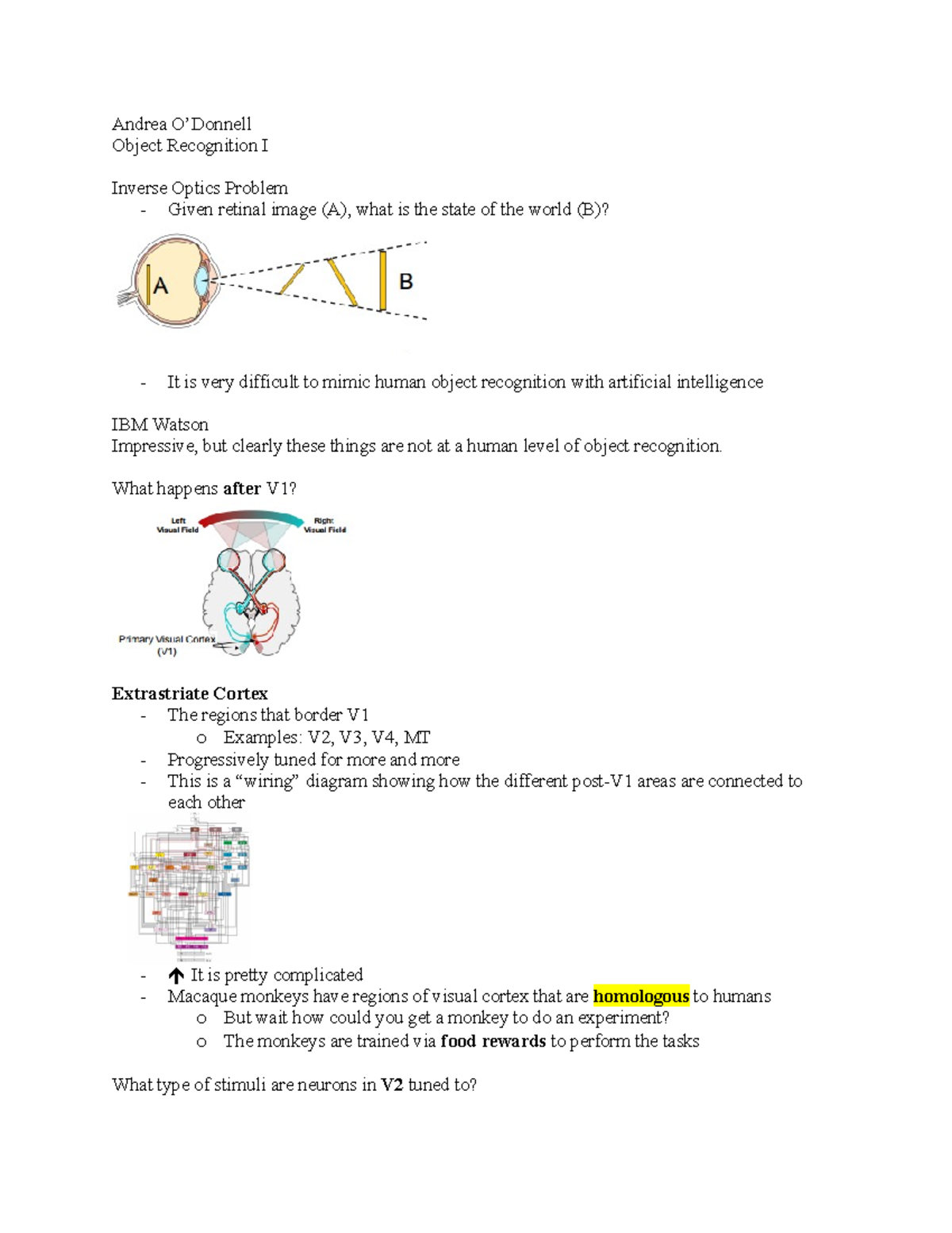 Feb 6 - notes - Andrea O’Donnell Object Recognition I Inverse Optics ...