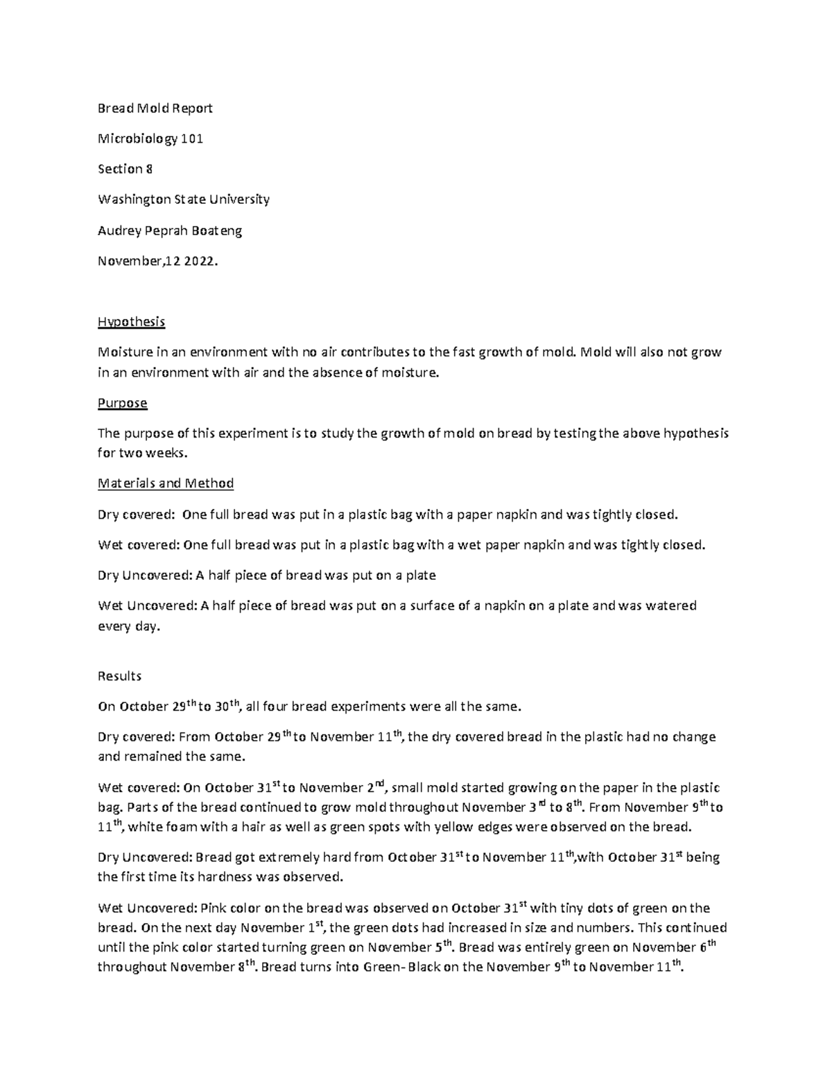 Bread Mold Report - Bread Mold Report Microbiology 101 Section 8 ...