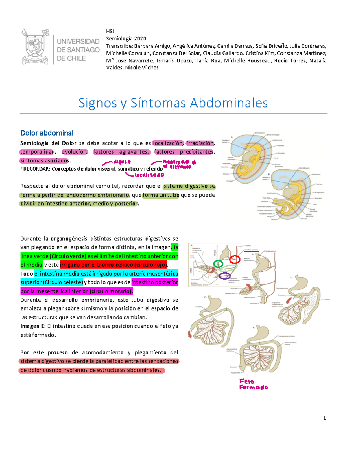 Síntomas y Signos Abdominales 2 - HSJ Semiología 2020 Transcribe ...