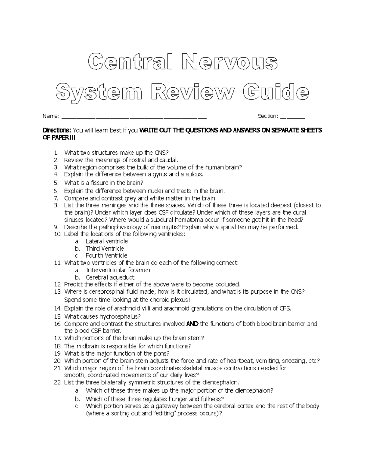 11 Central Nervous System Review Guide V 2mw - Name