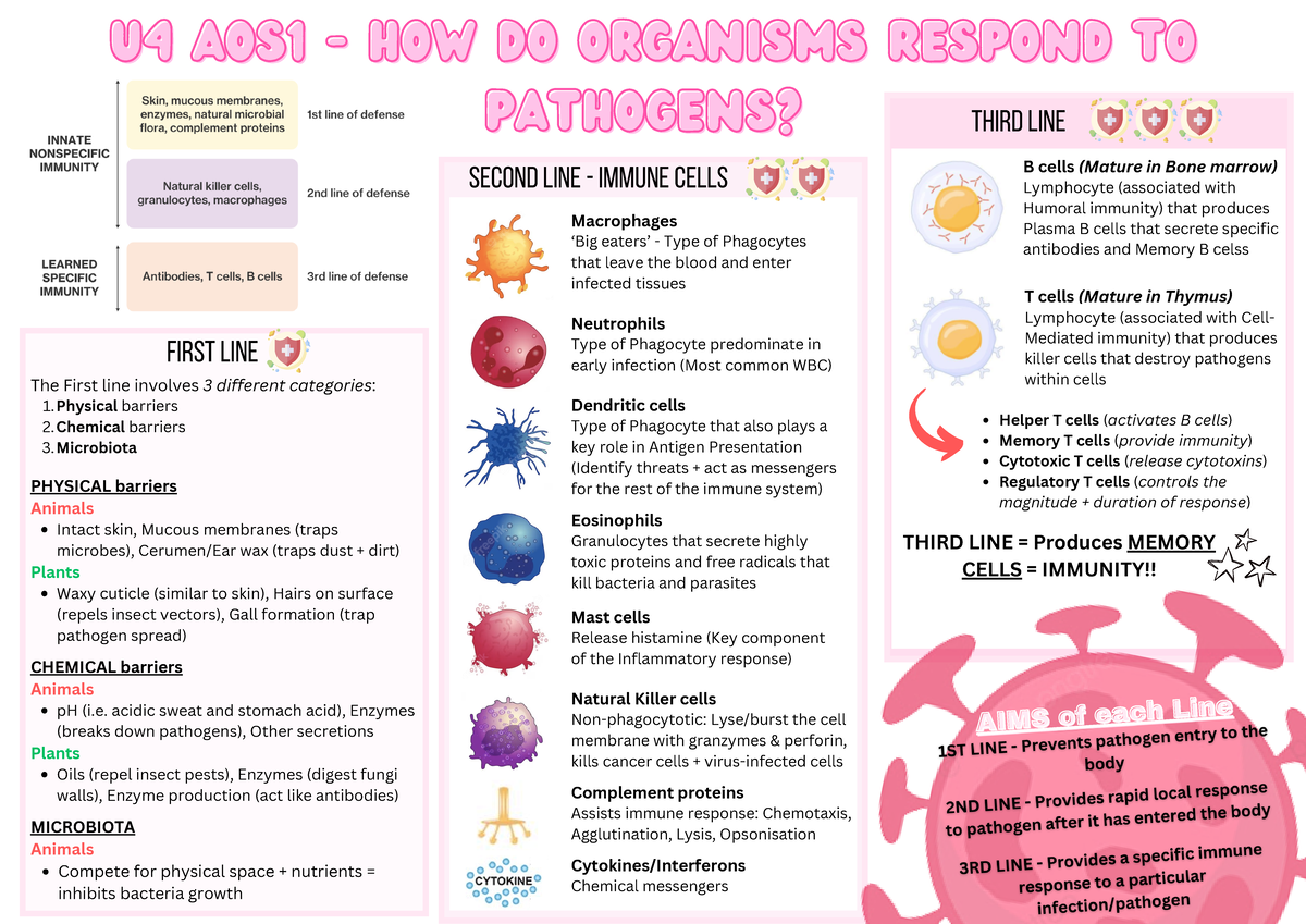 U4 AOS1 Poster - How do Organisms respond to Pathogens - U4 AOS1 - How ...