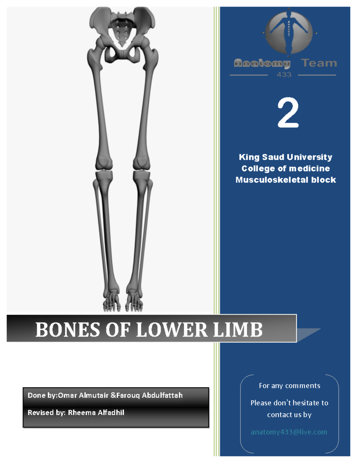 2- Bones of the lower limb - King Saud University College of medicine ...