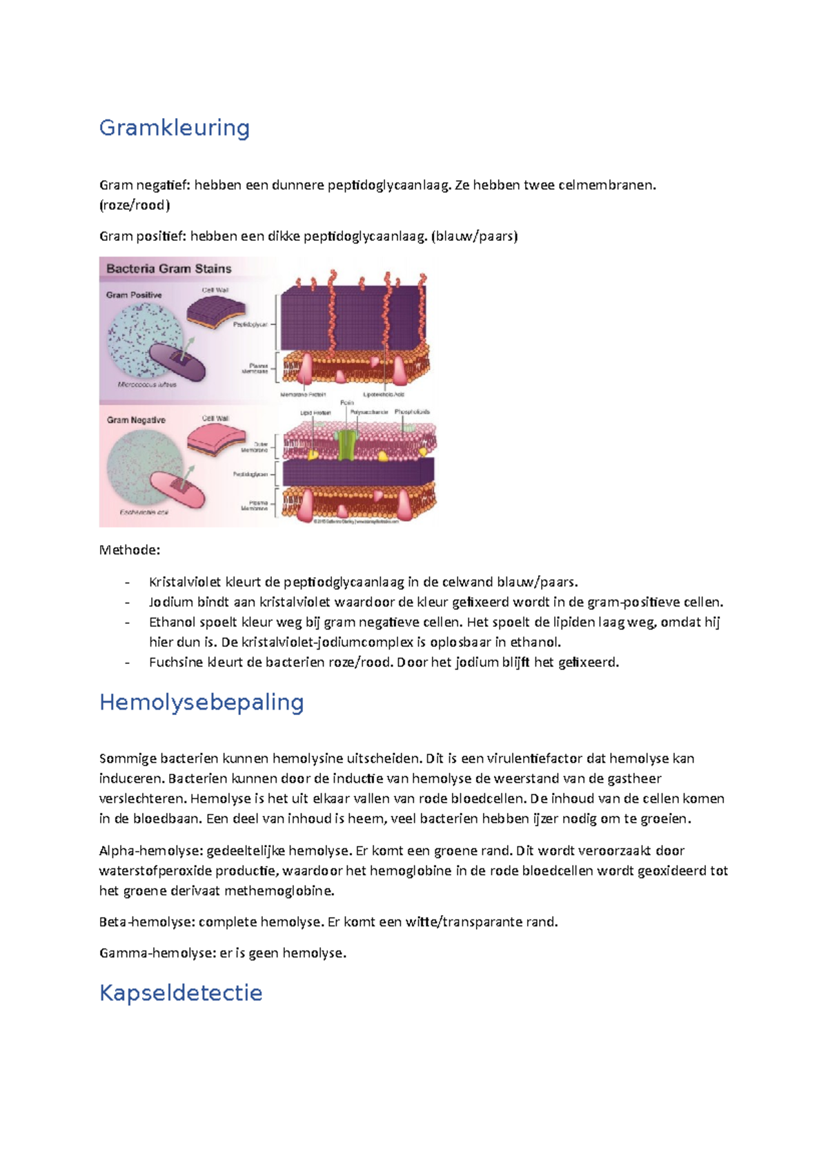Thema 1 samenvatting - Gramkleuring Gram negatief: hebben een dunnere ...