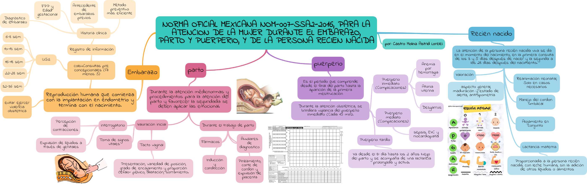 Mapa nom 007 - ... - Ginecología Y Obstetricia - Studocu