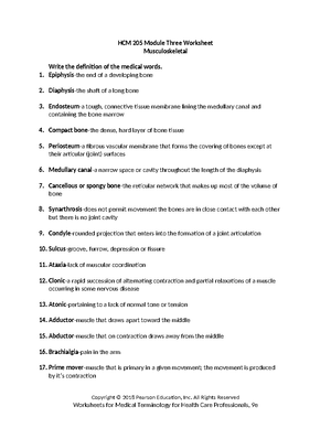 HCM 205 Module Seven Worksheet - HCM 205 Module Seven Worksheet ...